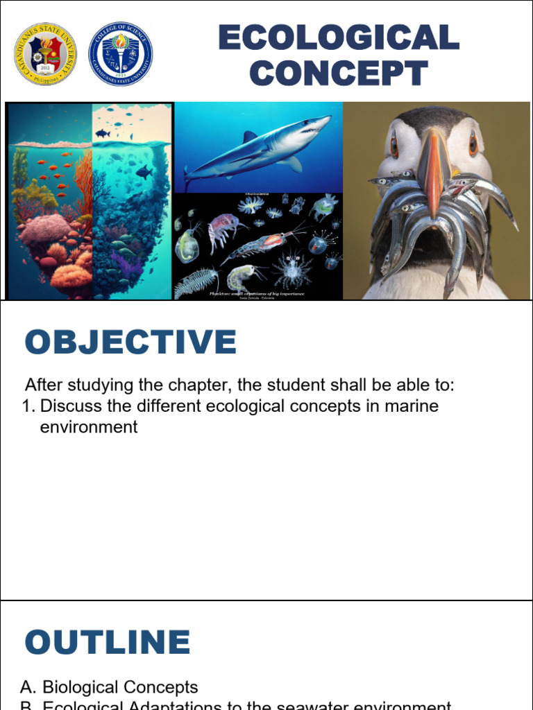 Unit 4 - Ecological Concept 1 | PDF | Natural Selection | Evolution