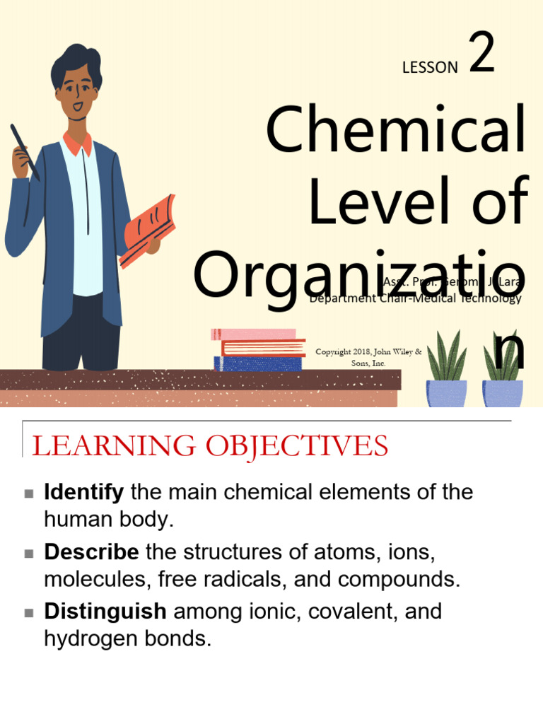 02 Chemical Level of Organization | PDF | Carbohydrates | Ion