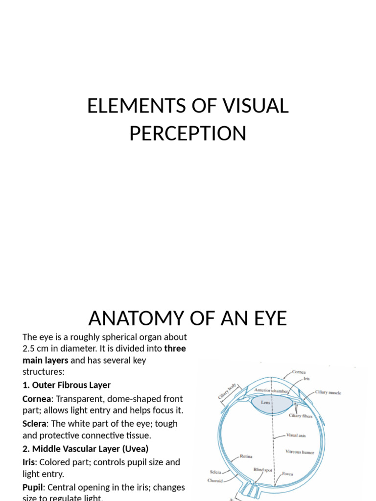 Key Elements of Visual Perception | PDF | Eye | Human Eye