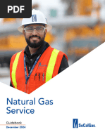 Gas Service Guidebook | PDF | Water Heating | Southern California