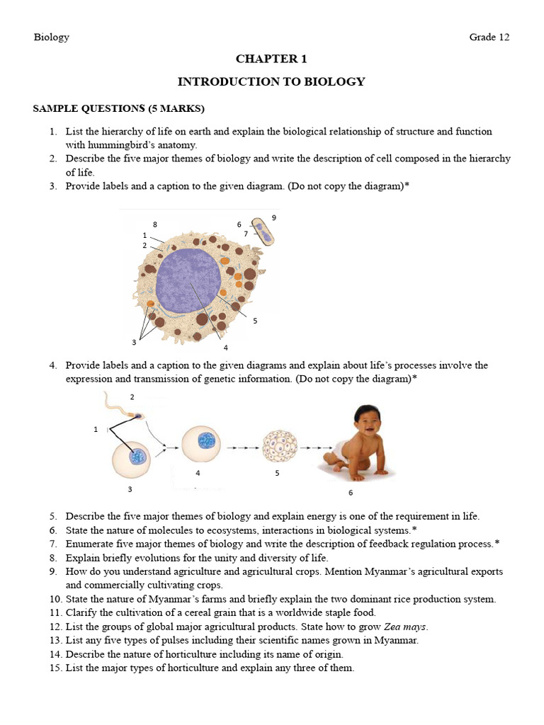 Grade 12 Biology: Chapter 1 Overview | PDF | Agriculture | Hydroponics