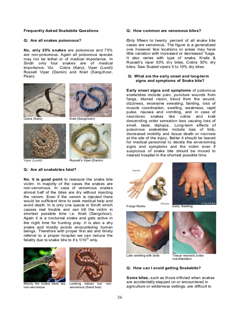 FAQ about Snake Bite | PDF | Snake | Venomous Snakes