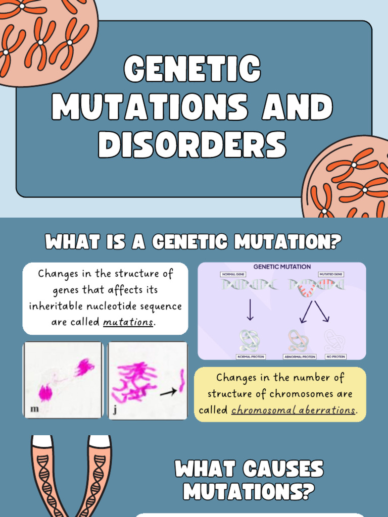 Understanding Genetic Mutations | PDF | Mutation | Point Mutation