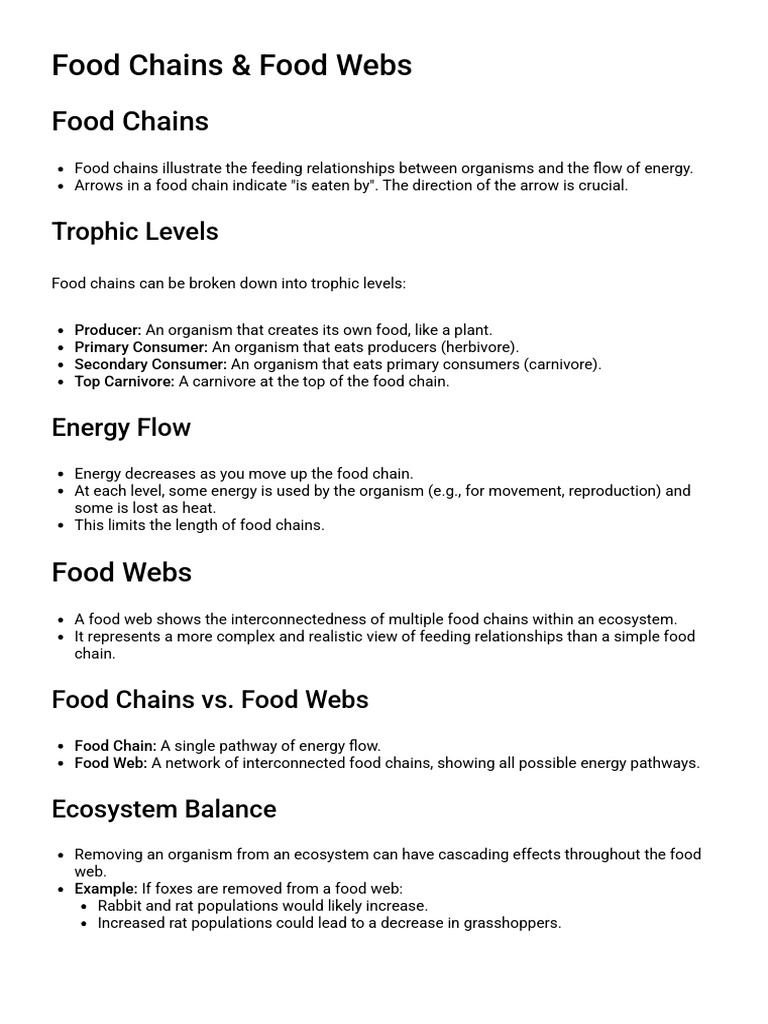 UnderstandingFoodChainsandFoodWebs StudyGuide | PDF