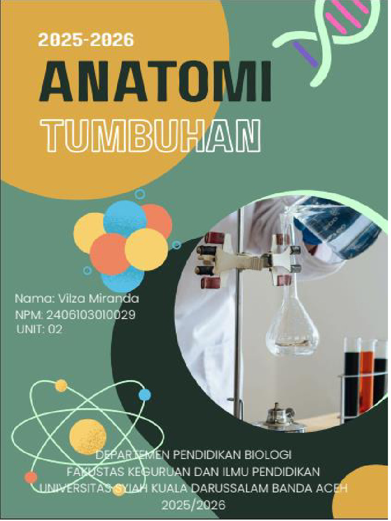 Anatomi Tumbuhan Vilza Miranda, 2406103010029 | PDF