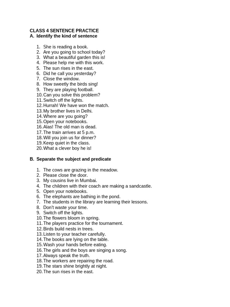 Class 4 Sentence Structure Practice | PDF