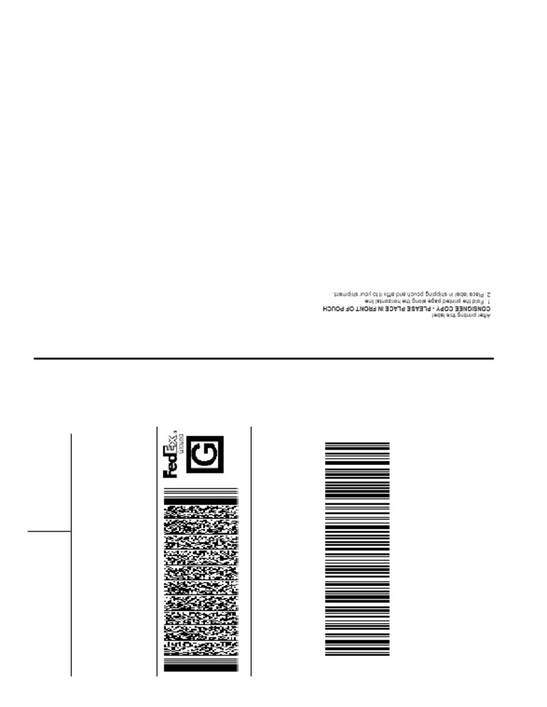 Fedex Shipping Label | PDF