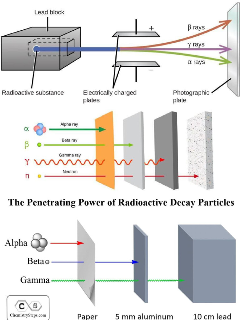 Physics Radioactivity Elements | PDF