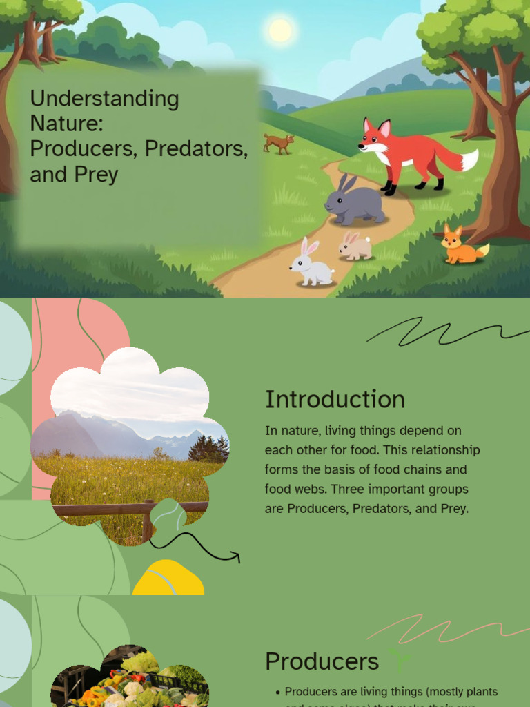 Food Chains: Producers, Predators, Prey | PDF