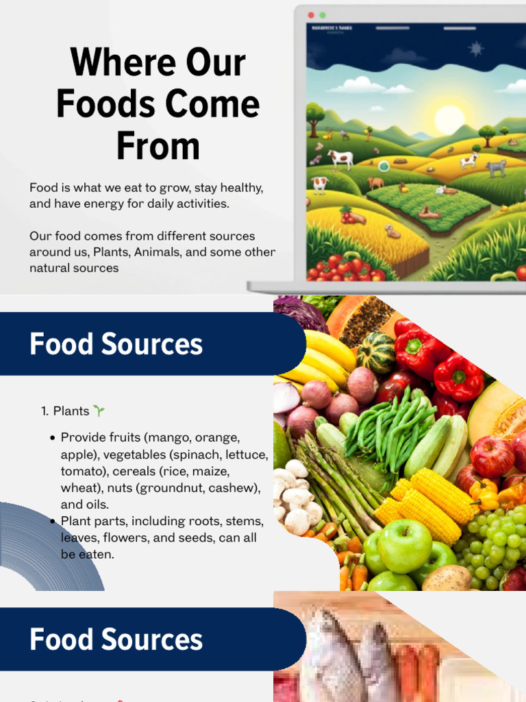 Sources of Our Food: Plants & Animals | PDF