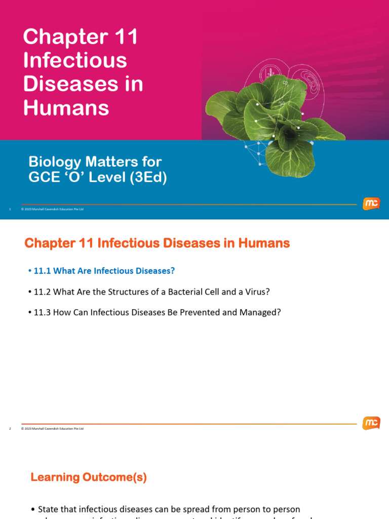 Infectious Diseases Overview for Students | PDF | Bacteria | Influenza