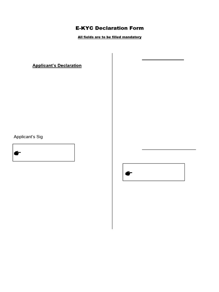 E-KYC Declaration Form Template | PDF