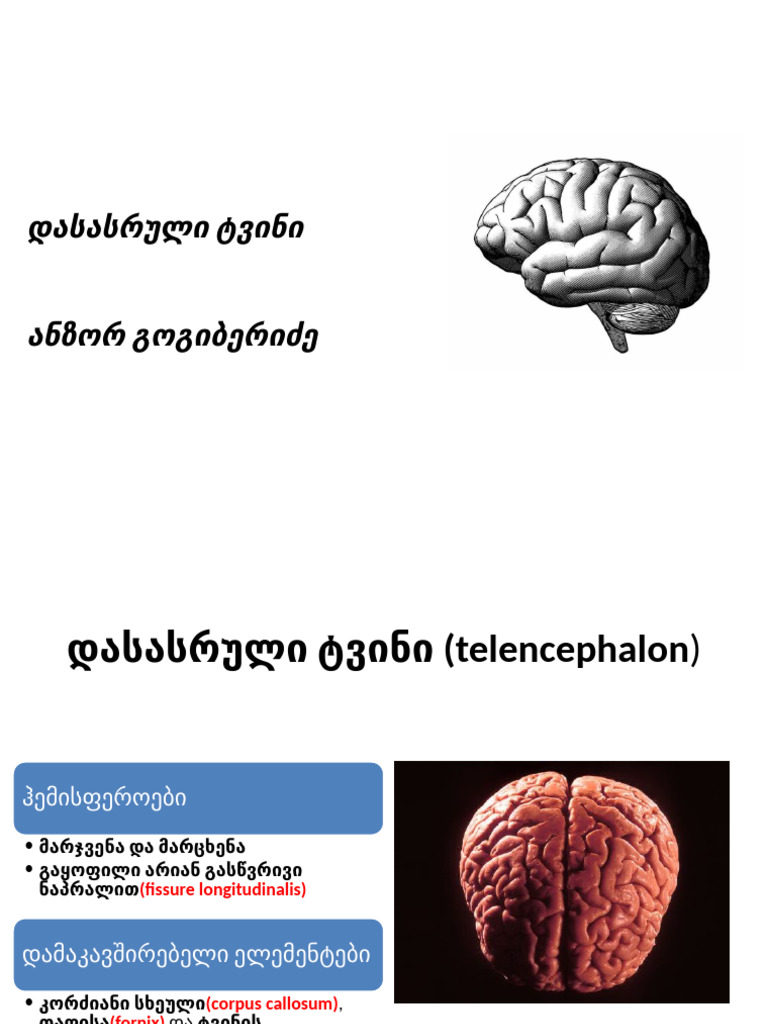 დასასრული ტვინი (Autosaved) | PDF