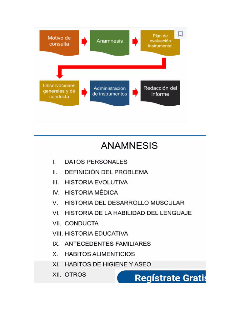 Ejemplo de Anamnesis | PDF