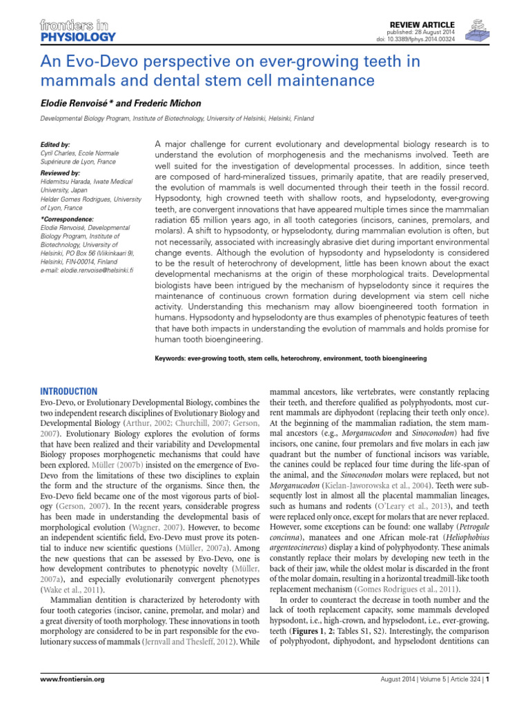 Evolution of Hypselodont Teeth in Mammals | PDF | Tooth | Dental Anatomy