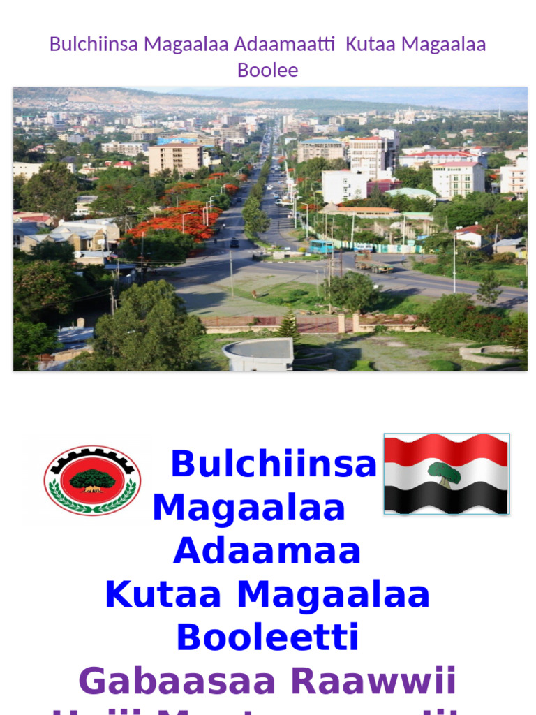 Adama Smart City | PDF