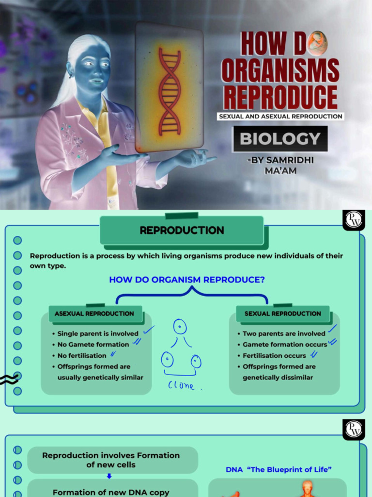 Chapter 3 Bio - Compress-Split | PDF