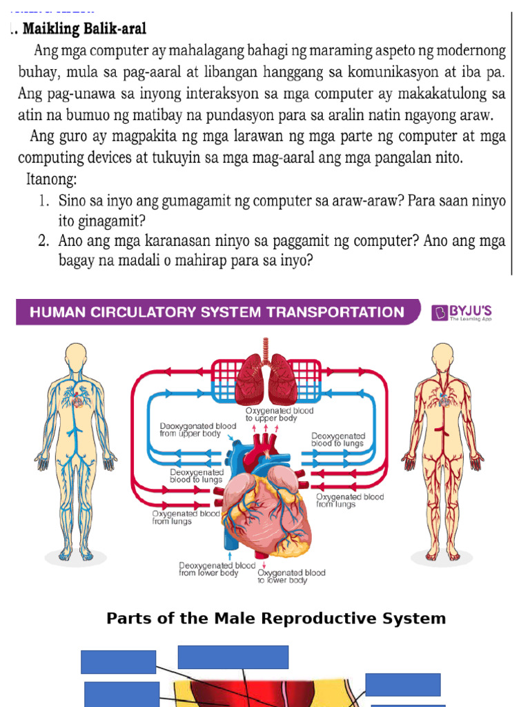 Epp 4 | PDF