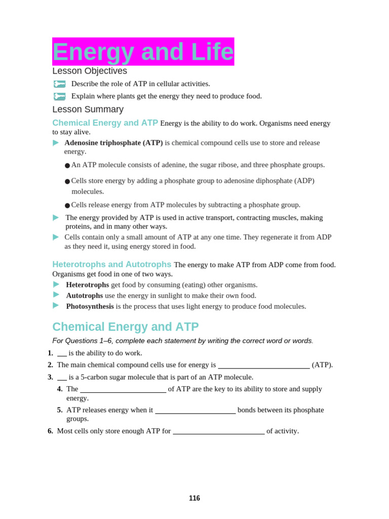 Worksheet Modes of Nutrition and ATP | PDF | Adenosine Triphosphate ...