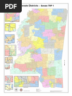 Texas Metropolitan Statistical Areas List | PDF | Dallas–Fort Worth ...