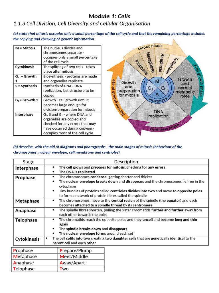 Cell Division Cell Diversity and Cellular Organisation Revision Notes ...