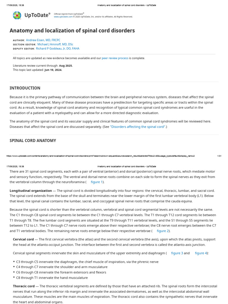 Spinal Cord Disorders | PDF | Spinal Cord | Motor Neuron
