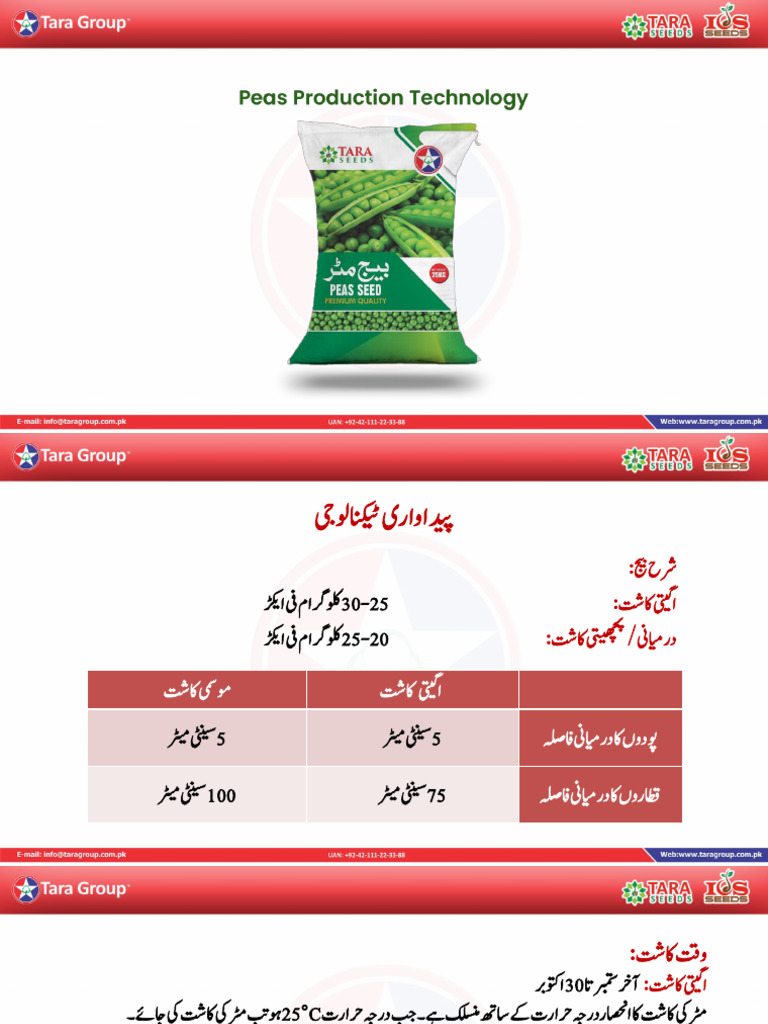 Peas PPT Final 2025 | PDF