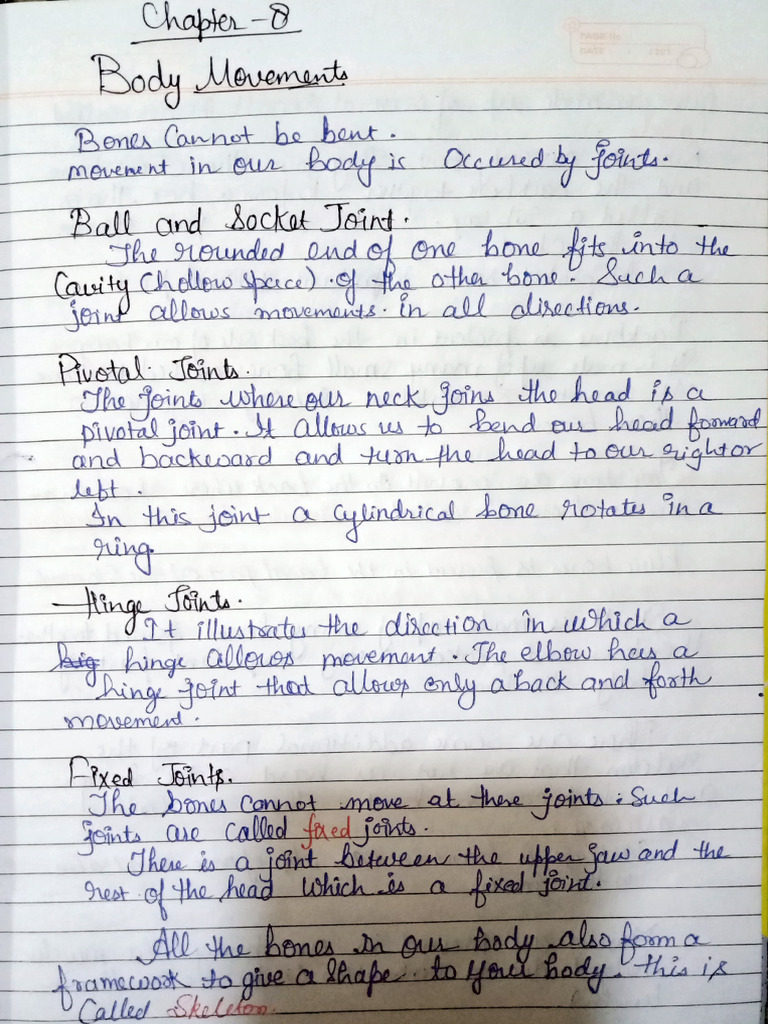 Class 6 Science Chapter 8 Overview | PDF