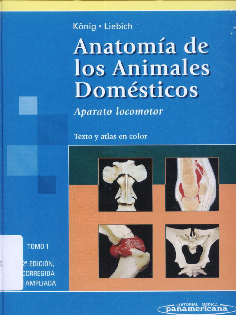 Anatom A de Los Animales Dom Sticos Tomo I Konig | PDF