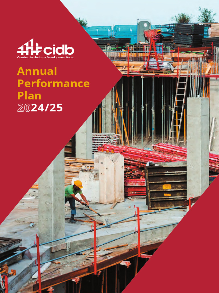Annual Performance Plan 2024 2025 | PDF | Infrastructure | Governance