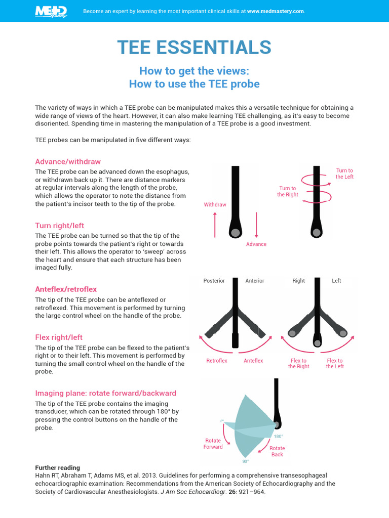 Fact Sheet 05 - How To Use The TEE Probe - A - T - F | PDF | Clinical ...