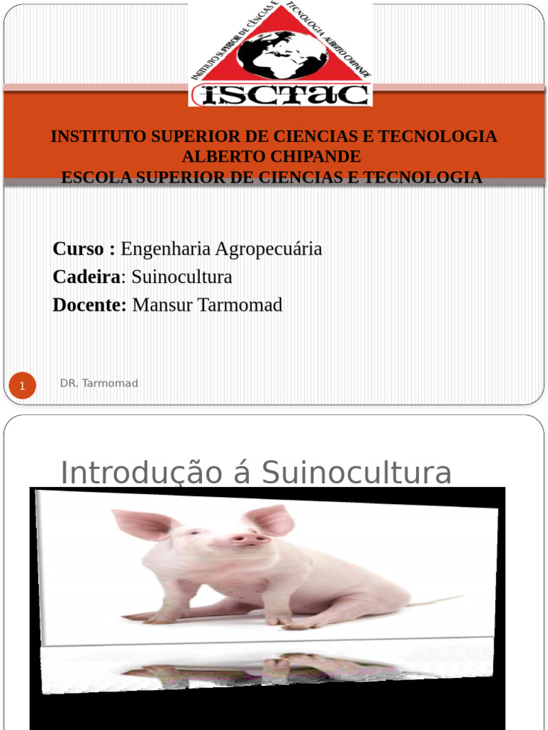 aula1 suino | PDF | Porco | Carne