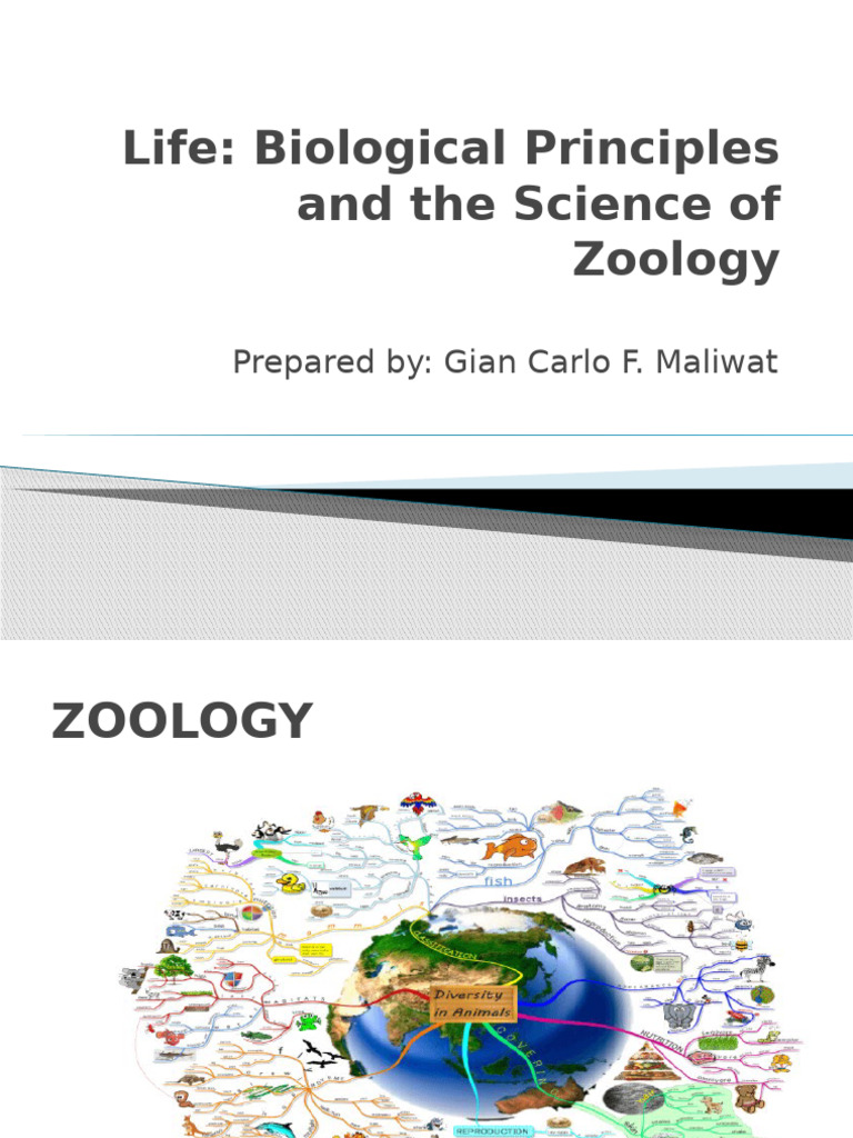 Chapter 1 Introduction To The Science of Zoology-1 | PDF | Life | Biology