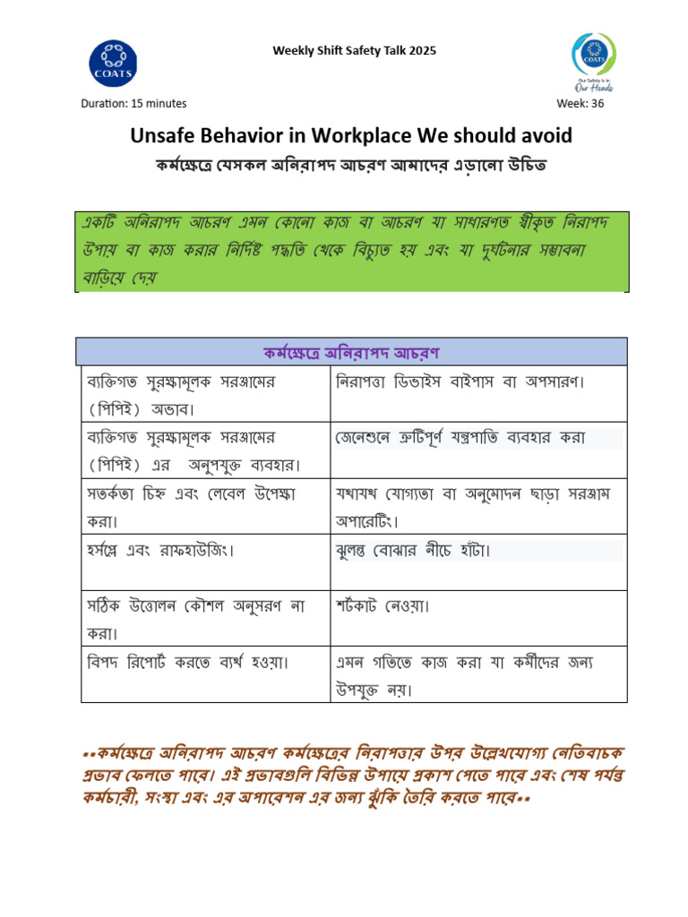 Behavior Based Safety | PDF
