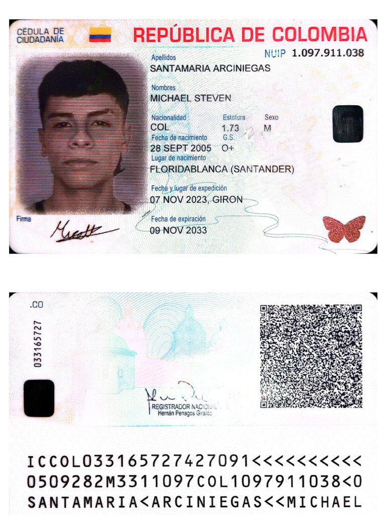 PDF Michael Steven Santamaría | PDF