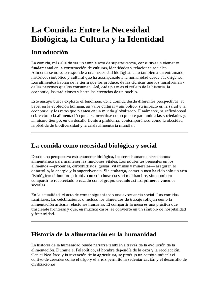 Ensayo Comida | PDF | Alimentos | Cocina