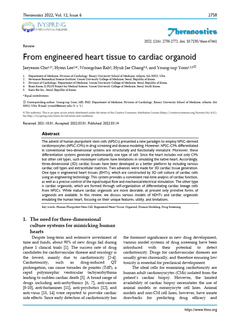 From Engineered Heart Tissue To Cardiac Organoid | PDF | Cardiac Muscle | Heart