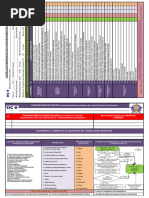 Rayado Diario PDF | PDF