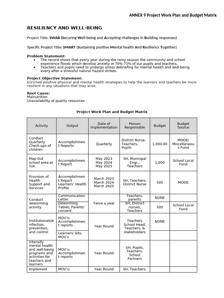 SWAB Project Work Plan and Budget Matrix | PDF