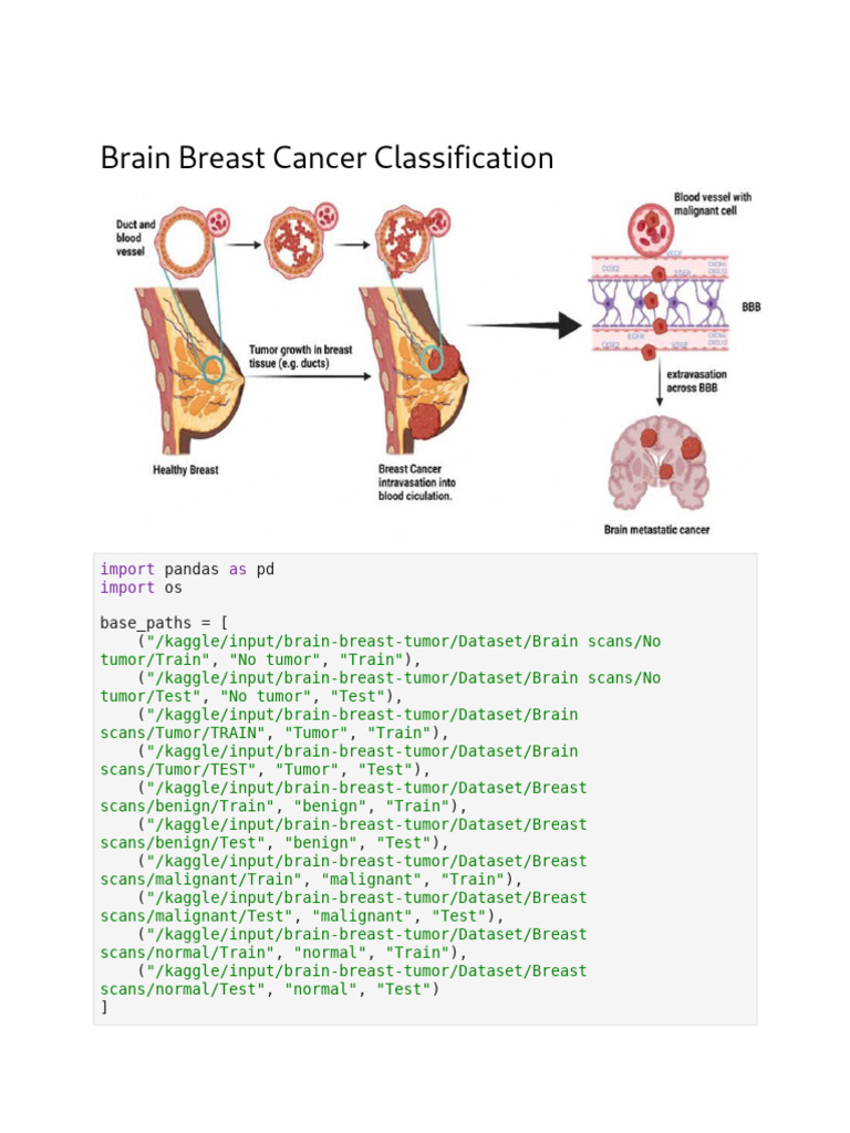 Brain Breast Cancer Classification | PDF | Breast Cancer | Biology