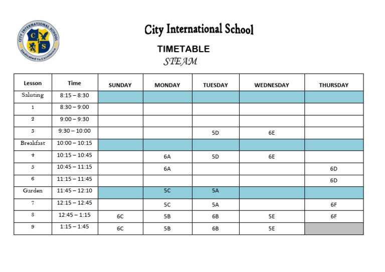 Weekly STEAM Class Timetable | PDF