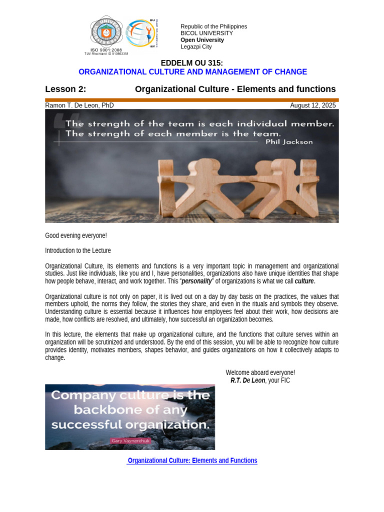 2 - Organizational Culture - Elements and Functions | PDF ...