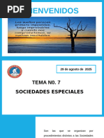 Sociedades Especiales | PDF | Bancos | Business