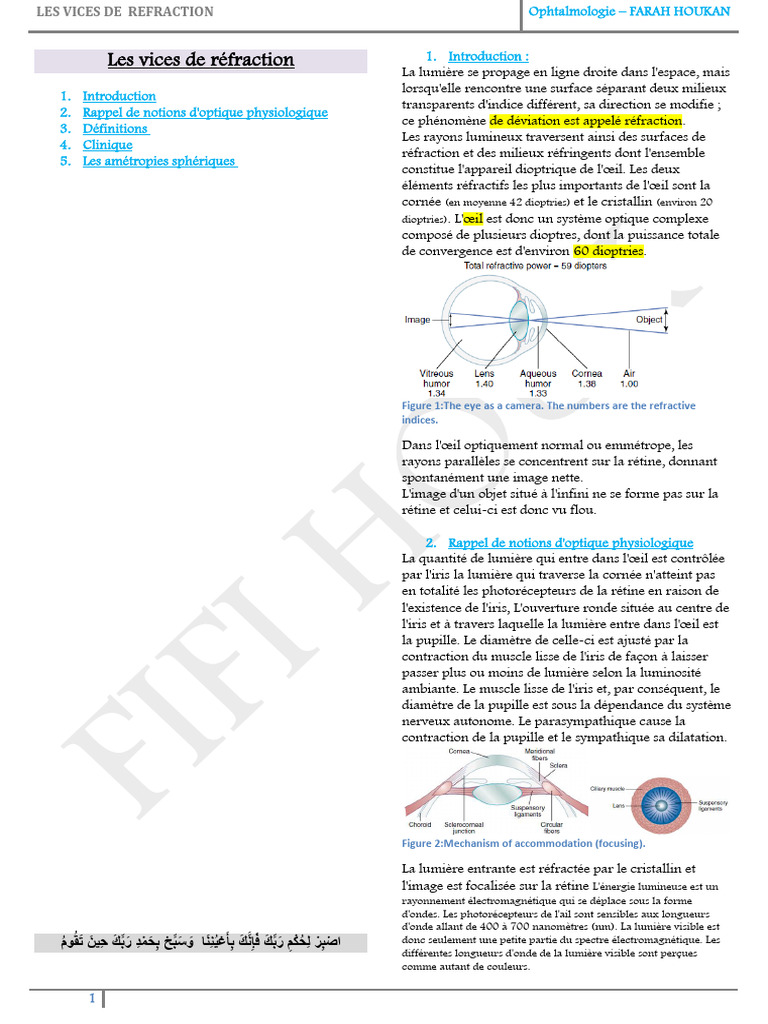Vices de réfraction en ophtalmologie | PDF | Myopie | Œil humain