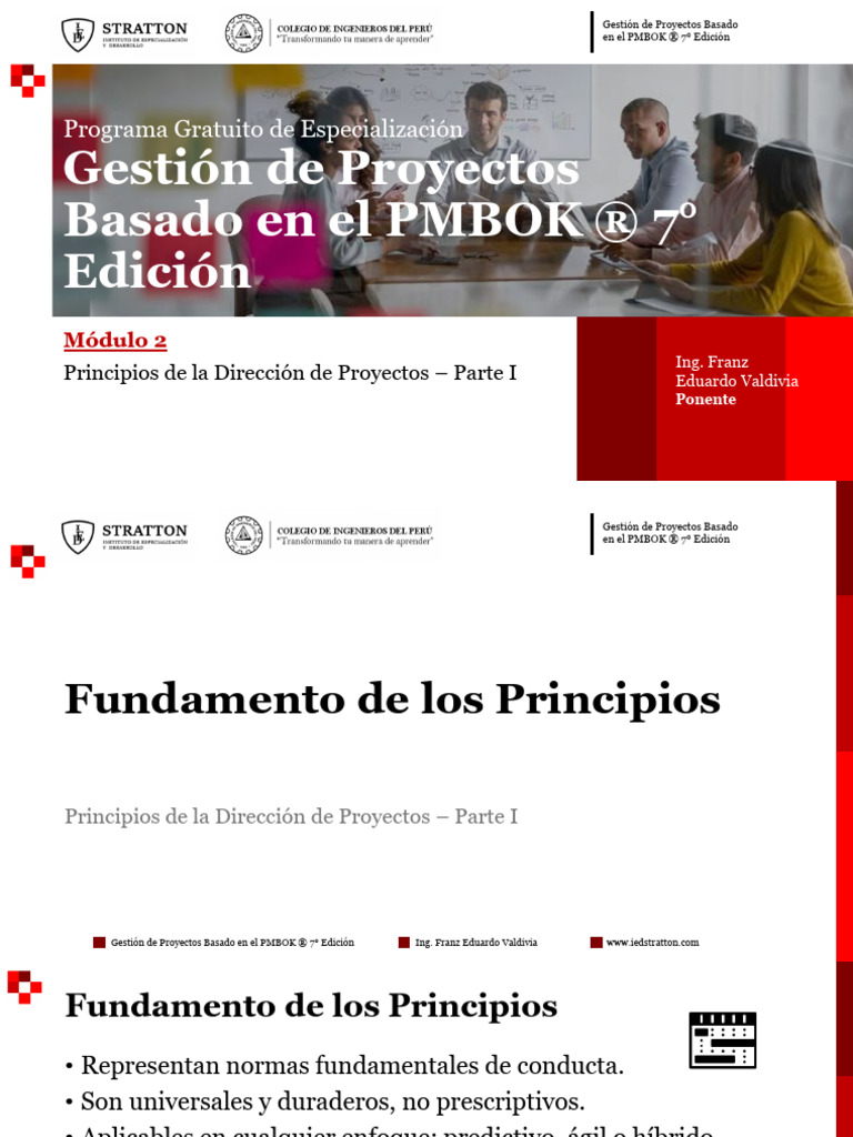 Principios de Gestión de Proyectos PMBOK 7° | PDF | Gestión de ...