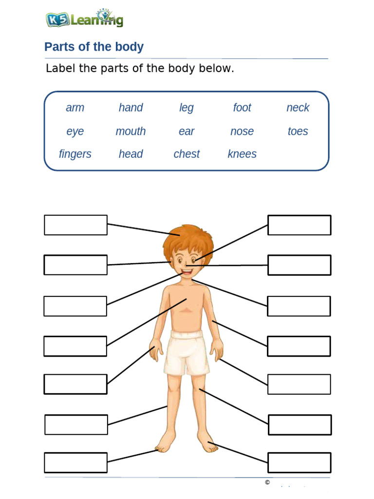 Grade 2 Parts Body A | PDF