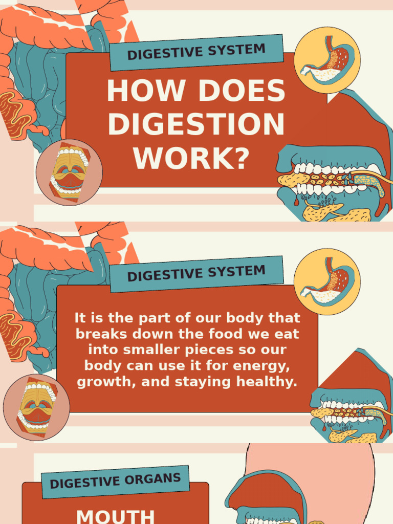 The Digestive System Science Educational Presentation in Dark Orange ...