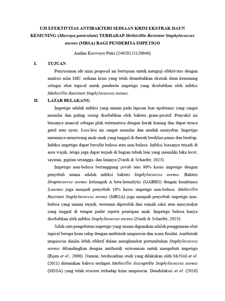 Andini Kuswoyo Putri - Mini Proposal BSAM | PDF