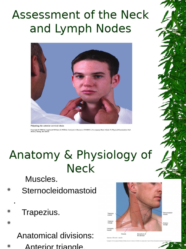Assessment of the Lymph Nodes and Neck | PDF | Neck | Thyroid