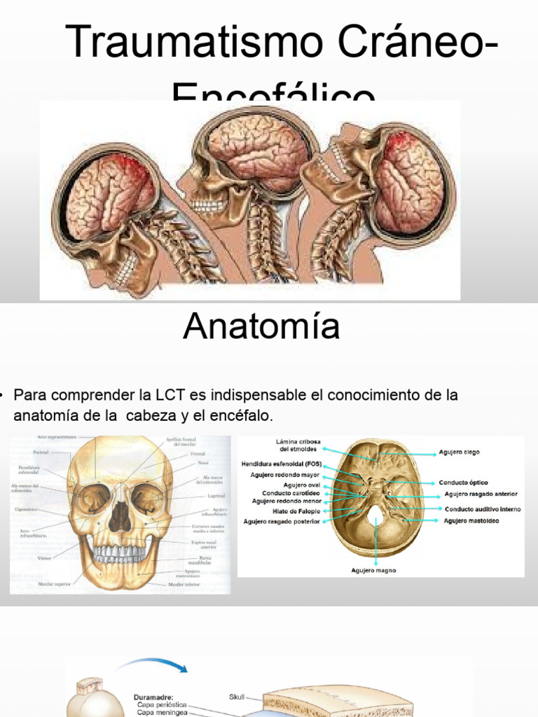 Traumatismo Cráneo - Encefálico. Urgencias-1 | PDF | Fluido ...